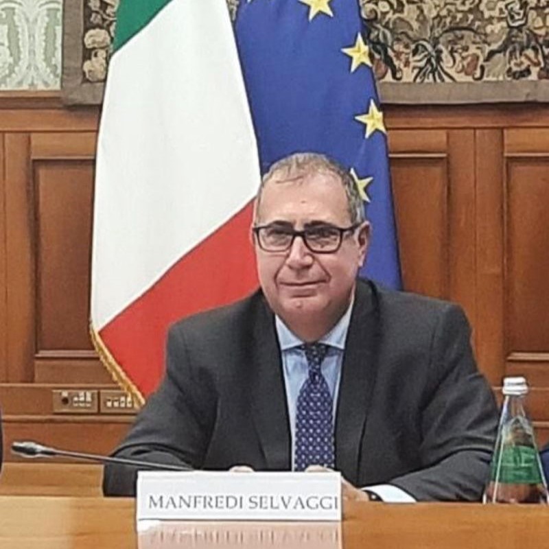 PNRR Carlo Alberto Manfredi Selvaggi Magistrato Della Corte Dei Conti